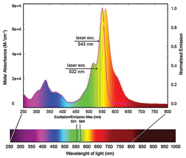 Abnova Fluorescent Dye 555-N Azide Quantity: 5mg:Protein Analysis ...