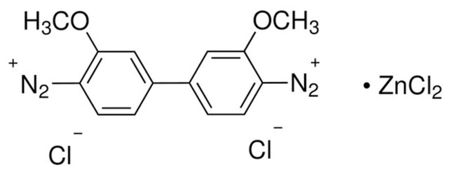 Fast Blue B Salt, MP Biomedicals 25g:Diagnostic Tests and Clinical Products