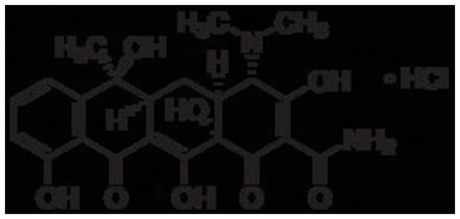 MP Biomedicals™ Antibiotics: Tetracycline hydrochloride Tetracycline ...
