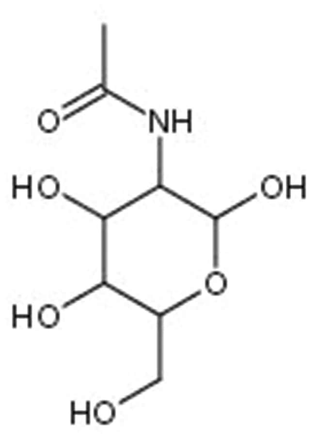 N-acetyl-α-D-galactosamine, 99%, MP Biomedicals™