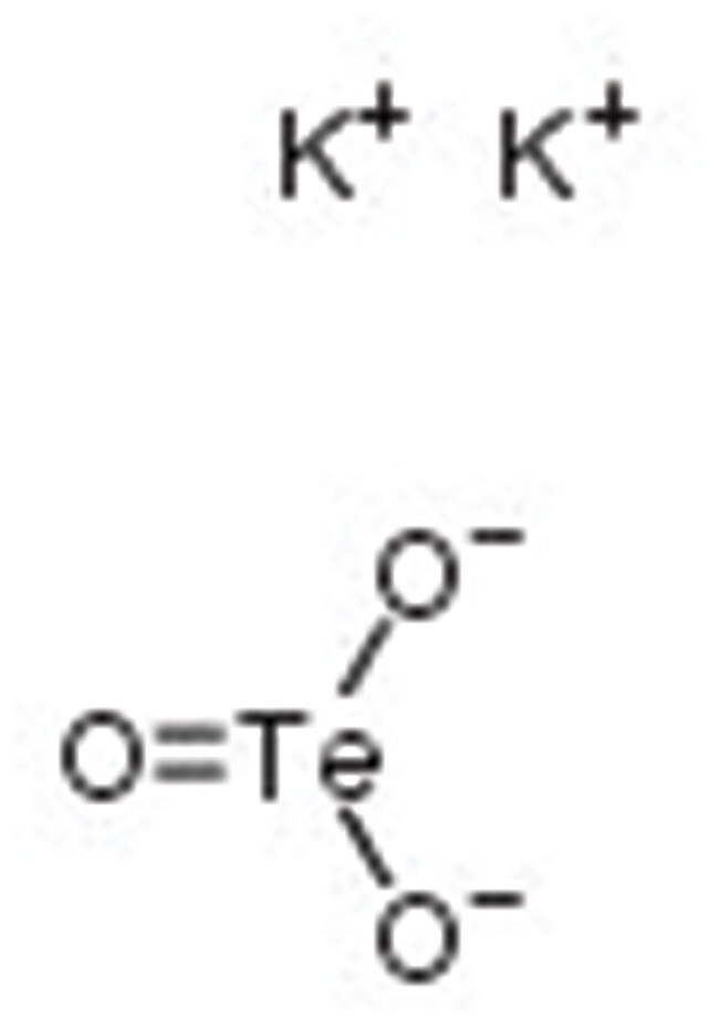Potassium Tellurite MP Biomedicals 25g:Chemicals