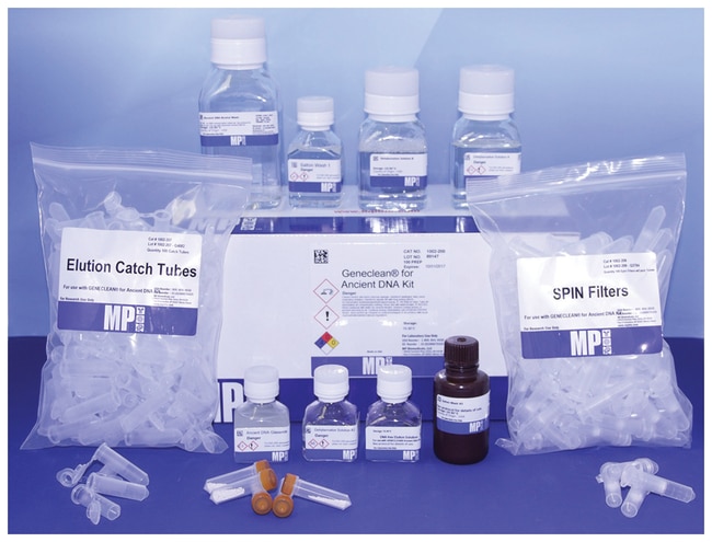 MP Biomedicals Geneclean for Ancient DNA Kit Ancient DNA kit; 100 preps ...