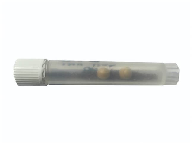 MP Biomedicals™ Lysing Matrix A, 4.5mL tubes | Fisher Scientific