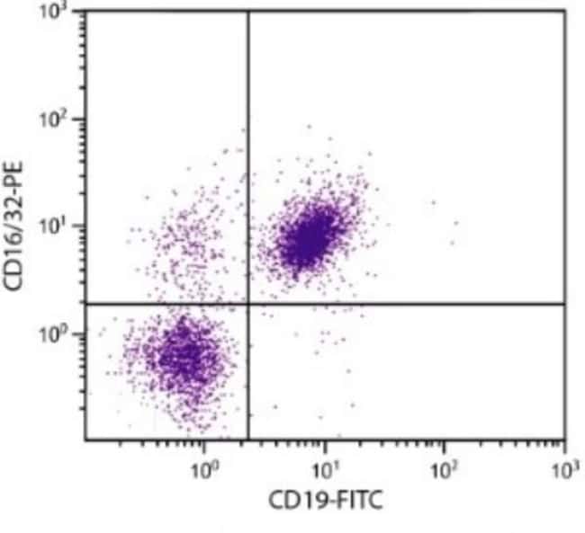 CD16/CD32 (93) - 0.25 MG
