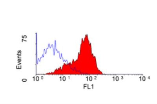 CD200/OX2 (OX-2) - 0.25 MG