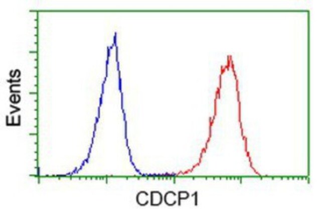 CDCP1 (2C1) - 0.1 ML