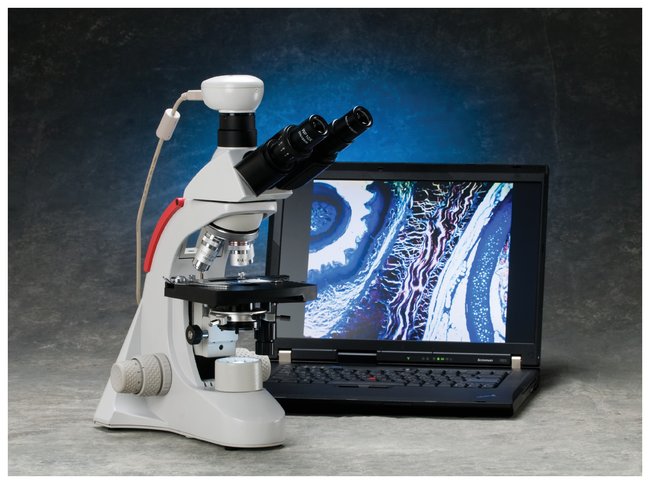 Ken-A-Vision Comprehensive Scope 2 Digital Microscopes:Microscopes ...