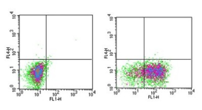 IL-3R alpha/CD123 Antibody (6H6), DyLight 488, Novus Biologicals 100 ...
