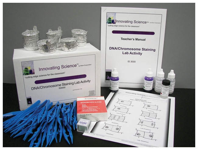 Innovating Science DNA/Chromosome Staining Kit DNA/Chromosome Staining ...