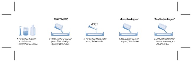 Thermo Scientific Pierce Color Silver Stain Kit Kit; 2L kit ...