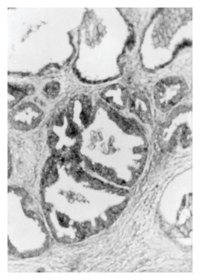Thermo Scientific Pierce Metal Enhanced DAB Substrate Kit 250mL kit ...