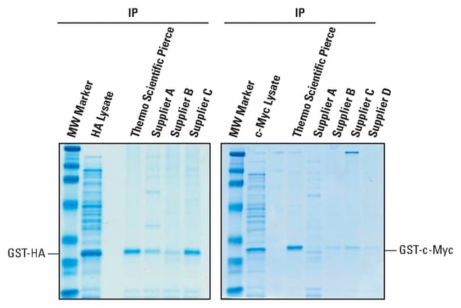 Thermo Scientific™ Pierce™ HA Tag IP/Co-IP Kit HA-Tag IP/Co-IP Kit; 25 ...