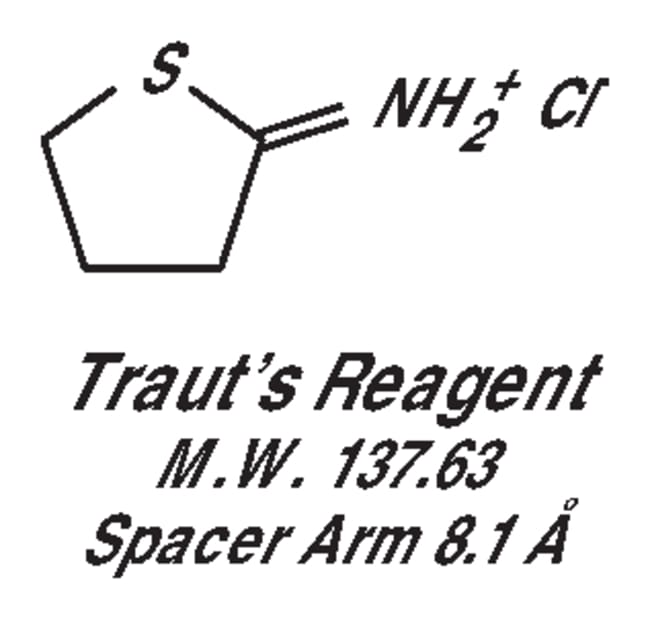 Thermo Scientific™ Réactif de Pierce™ Traut 500mg Réactifs de ...