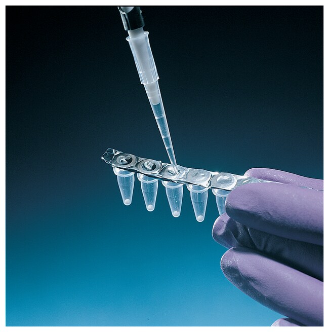 Thermo Scientific EZ-Link NHS-PEG Solid-Phase Biotinylation Kit NHS-PEG ...