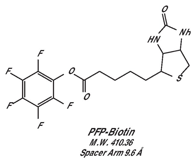 Thermo Scientific EZ-Link PFP-Biotin EZ-Link PFP-Biotin, 50mg:Life ...