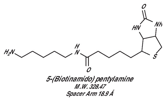 Thermo Scientific™ EZ-Link™ Pentylamine-Biotin 50mg Réactifs de ...
