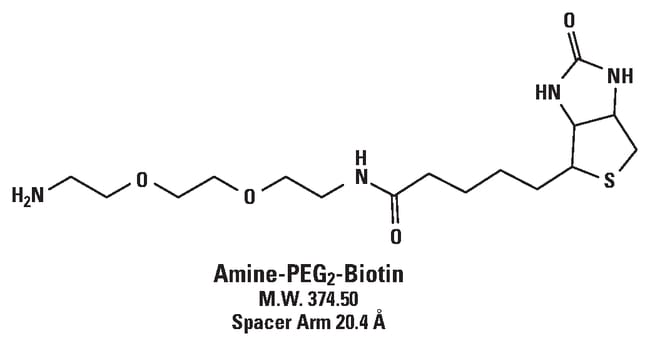 Thermo Scientific EZ-Link Amine-PEG2-Biotin 50mg:Life Sciences | Fisher Scientific