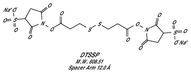 Thermo Scientific™ Pierce™ DTSSP Cross-Linker 50mg NHS-Ester Cross ...