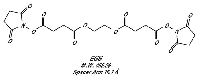 Thermo Scientific™ Pierce™ EGS Cross-Linker 1g NHS-Ester Cross-Linker ...