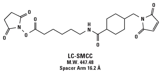 Thermo Scientific Pierce LC-SMCC Crosslinker 50mg:Life Sciences ...