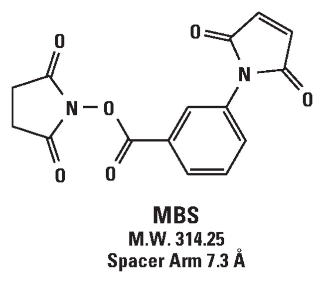 Thermo Scientific™ Pierce™ MBS Crosslinker 50mg NHS-Maleimid Cross ...