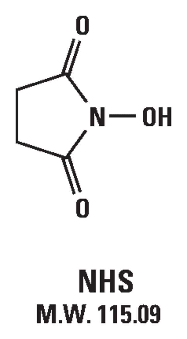 Thermo Scientific™ Pierce™ NHS Crosslinker 25g Carboxyl-to-Amine ...