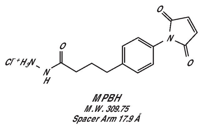 Thermo Scientific™ Pierce™ MPBH Crosslinker 50mg Agents de réticulation ...