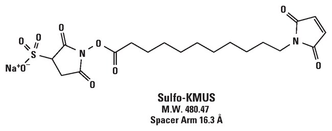Thermo Scientific™ Pierce™ Sulfo-KMUS Crosslinker 50mg NHS-Maleimid ...