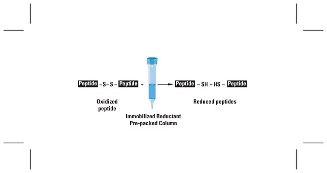 Thermo Scientific Pierce Immobilized Reductant Columns 1 x 2mL:Life Sciences | Fisher Scientific