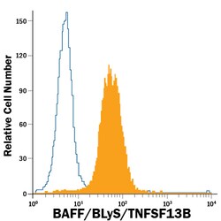 Mouse BAFF/BLyS/TNFSF13B PE-conjugated Antibody, R D Systems 100 Tests ...