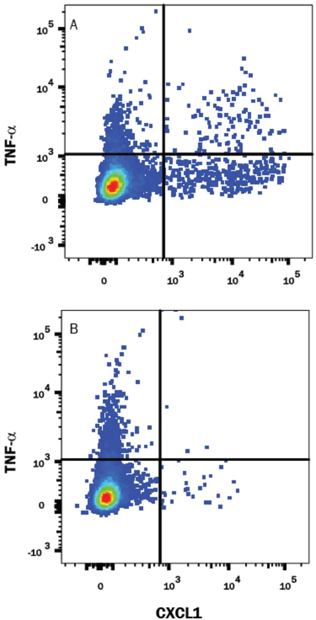 Mouse CXCL1/GRO alpha/KC/CINC-1 Antibody, R D Systems 25 ug ...