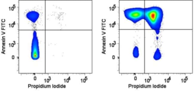 Invitrogen eBioscience Propidium Iodide Staining Solution Propidium Iodide | Fisher Scientific