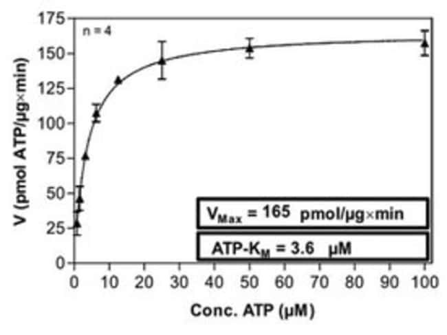 Abnova™ Human PLK1 (NM_005030, 1 a.a. - 603 a.a.) Full-length ... Abnova™ Human PLK1 (NM_005030, 1 a.a. - 603 a.a.) Full-length ...