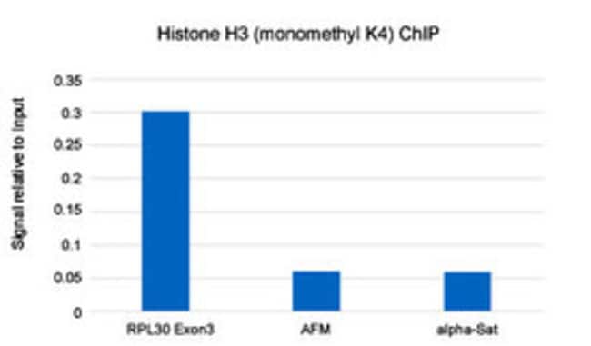 Histone H3(acetyl K14) Rabbit, Clone: RM130, Abnova™ 100μg; Unlabeled ...