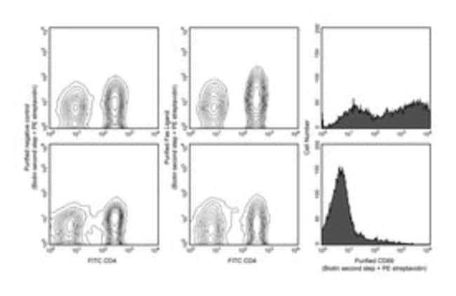 CD178 Hamster anti-Mouse, Unlabeled, Clone: MFL3, BD 0.5mg; Unlabeled ...