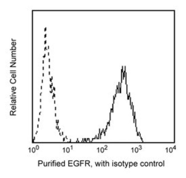EGF Receptor Mouse anti-Human, Unlabeled, Clone: EGFR1, BD 0.1mg ...