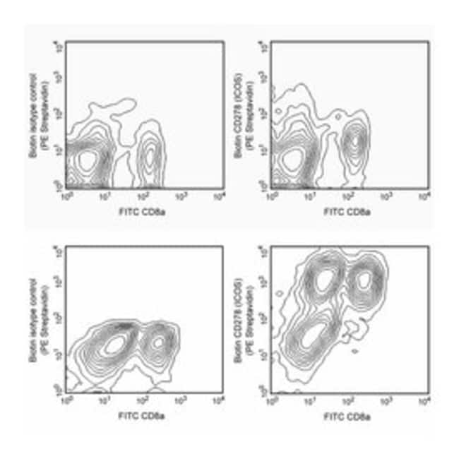 CD278 Rat anti-Mouse, Biotin, Clone: 7E.17G9, BD 0.5mg; Biotin ...