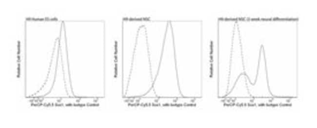 Sox1 Mouse anti-Human, PerCP-Cy5.5, Clone: N23-844, BD 50 Tests; PerCP ...