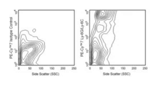 Ly-6G and Ly-6C Rat anti-Mouse, PE-Cy7, Clone: RB6-8C5, BD 20μg; PE-Cy7 ...