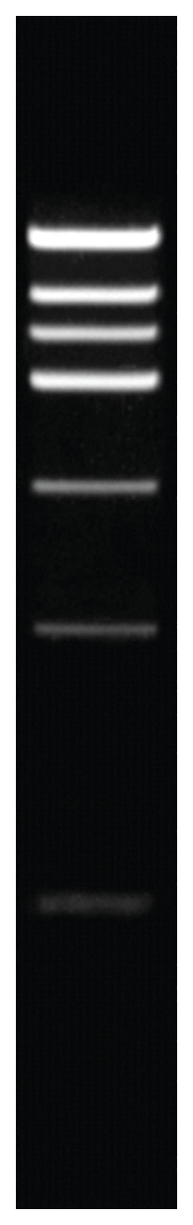 Thermo Scientific™ FastDigest™ BclI Promotion 300μL Aa - Bz Restriction ...