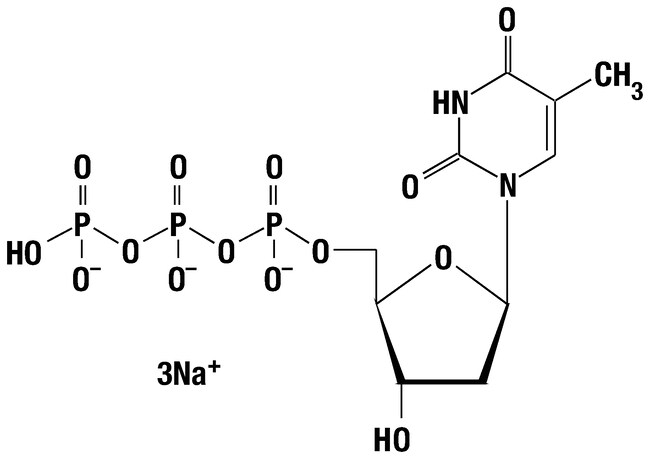 Thermo Scientific dTTP 0.25mL:Life Sciences | Fisher Scientific