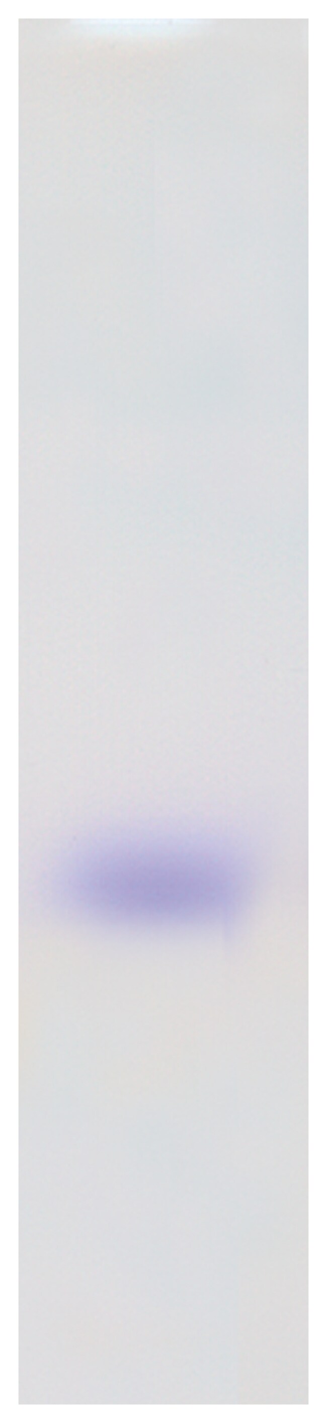 Thermo Scientific 6X MassRuler DNA Loading Dye 5 x 1mL:Life Sciences ...