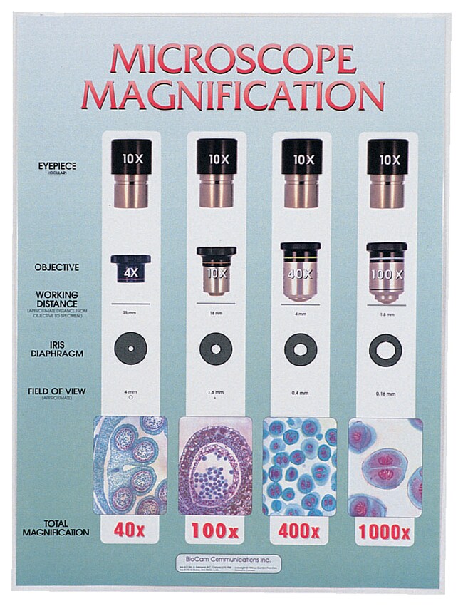 Microscope Magnification Chart Laminated 18 X 24 In 45 72 X 60 9cm