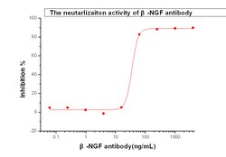 Sino Biological NGF / NGFB Neutralizing Antibody 500ug, Quantity: Each ...