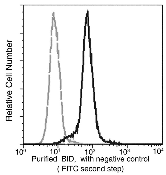 Sino Biological BID Antibody, Mouse MAb 1mL, Quantity: Each of 1 ...