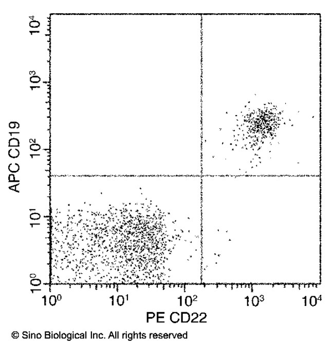 Sino Biological Cd22 Siglec 2 Antibody Pe Mouse Mab 25 Tests