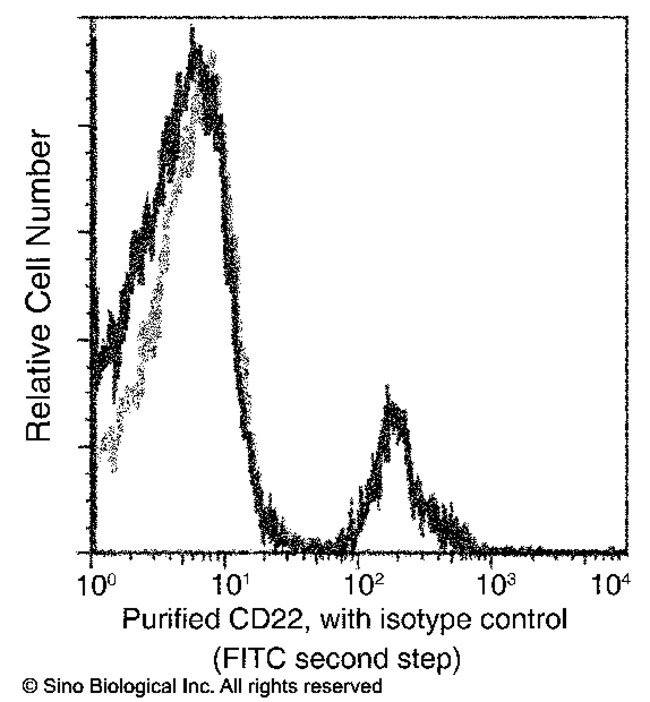 Sino Biological CD22 / Siglec-2 Antibody, Mouse MAb 200uL, Quantity: Each | Fisher Scientific