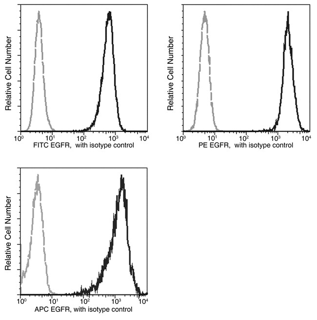 Sino Biological EGFR / HER1 / ErbB1 Antibody (PE), Mouse MAb 25Tests ...