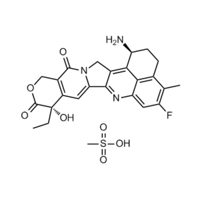 Medchemexpress LLC HY-13631A 500mg , Exatecan (mesylate) CAS:169869-90 ...