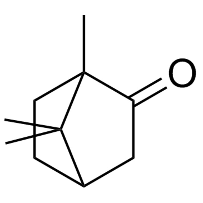 Medchemexpress LLC HY-N0808 100mg Medchemexpress, Camphor CAS:76-22-2 ...